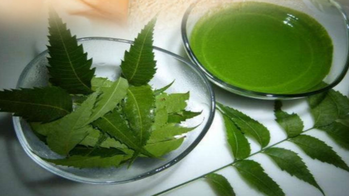 Neem Water Bath Benefits: ಬೇವಿನ ನೀರಿನಿಂದ ಸ್ನಾನ ಮಾಡಿದರೆ ಆರೋಗ್ಯಕ್ಕೆ ...