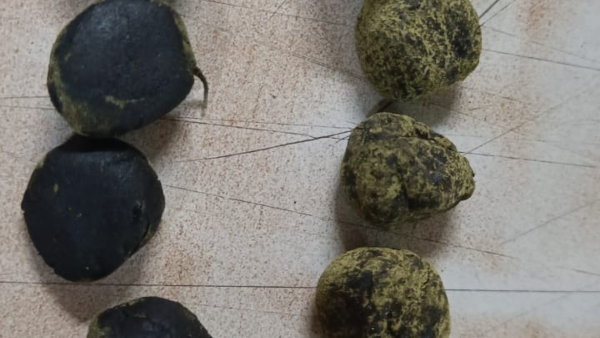 ಪೋಷಕರೇ ಎಚ್ಚರ..! ಮಂಗಳೂರಿನ ಅಂಗಡಿಗಳಲ್ಲಿ ಸಿಗುತ್ತಿದೆ ಅಮಲೇರಿಸುವ ಚಾಕಲೇಟ್ ...