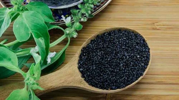 Sabja Seeds Health Benefits: ಆರೋಗ್ಯ ಸಂಜೀವಿನಿ ತುಳಿಸಿ ಬೀಜಗಳು ಈ ರೋಗಗಳು ...
