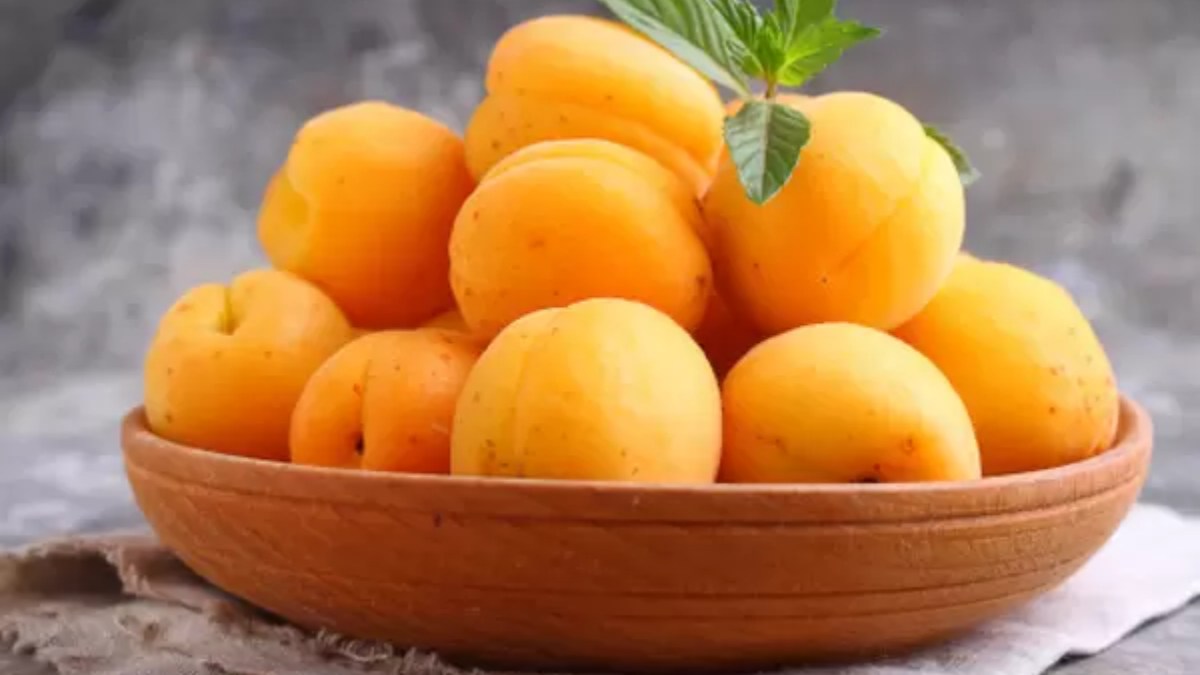 Apricot Fruit Health Benefits: ಈ ಕಹಿ ಇಲ್ಲದ ಹಣ್ಣಿನಲ್ಲಿ ಅಡಗಿದೆ ಸಾಕಷ್ಟು ...