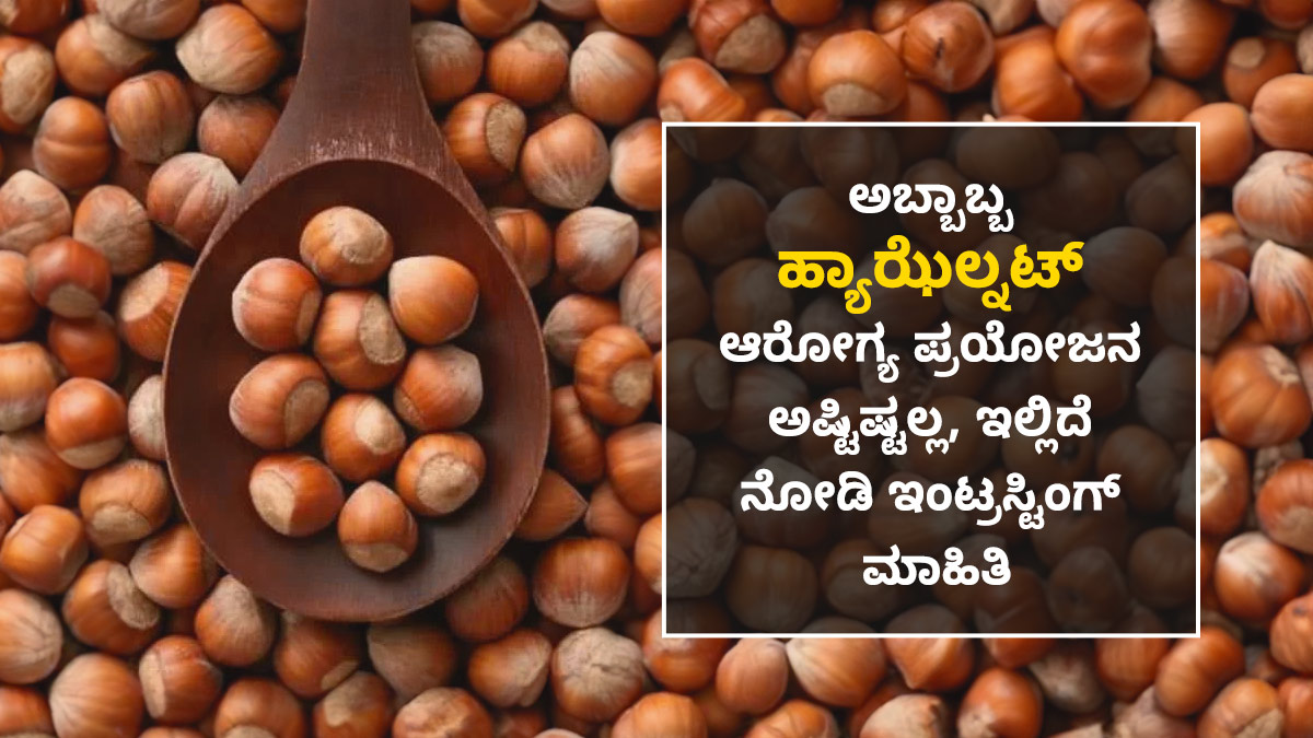 Hazelnut Health Benefits: ಅಬ್ಬಾಬ್ಬ ಹ್ಯಾಝೆಲ್ನಟ್ ಆರೋಗ್ಯ ಪ್ರಯೋಜನ ...
