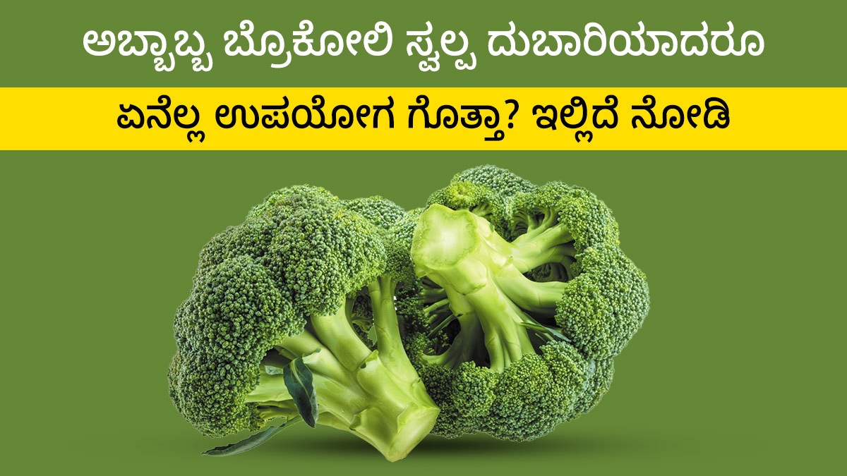 Broccoli Benefits: ಅಬ್ಬಾಬ್ಬ ಬ್ರೊಕೋಲಿ ಸ್ವಲ್ಪ ದುಬಾರಿಯಾದರೂ ಏನೆಲ್ಲ ಉಪಯೋಗ ...