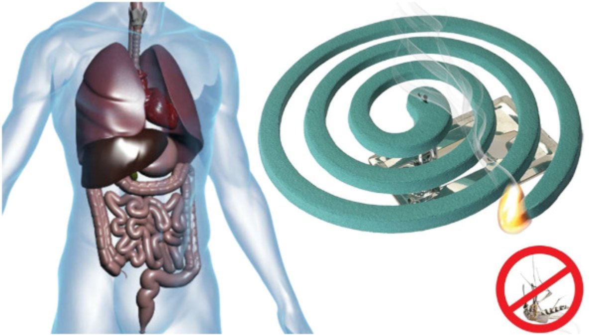 Mosquito coil side effects: ಪ್ರತಿದಿನ ಸೊಳ್ಳೆ ಕಾಯಿಲ್ ಬಳಸುತ್ತೀರಾ? ಶೇ.90 ...