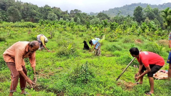ನರೇಗಾ ಯೋಜನೆ; ವೈಯಕ್ತಿಕ ಕಾಮಗಾರಿ ಮೊತ್ತ 5 ಲಕ್ಷಕ್ಕೆ ಏರಿಕೆ, ವಿವರ | Work Under ...