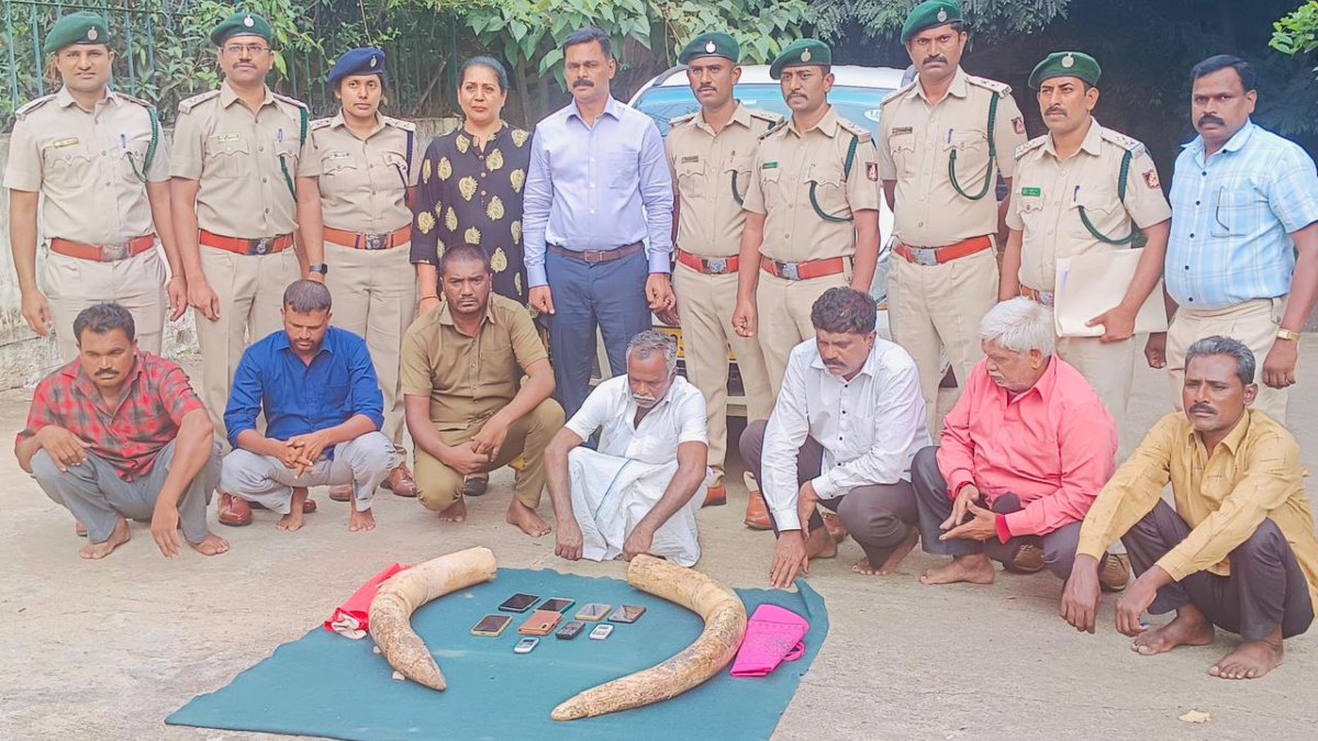 ರಾಮನಗರ ಅರಣ್ಯ ಇಲಾಖೆ ಕಾರ್ಯಾಚರಣೆ: ಅಂತರ್ ರಾಜ್ಯ ದಂತಚೋರರ ಬಂಧನ | 8 Accused ...