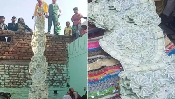 Video: 500 ರೂಪಾಯಿ ನೋಟಿನಲ್ಲಿ ಬೃಹತ್ ಮಾಲೆ ಮಾಡಿಸಿಕೊಂಡ ವರ: ಕದಿಯುವ ಮನಸ್ಸಾದಿತು ...