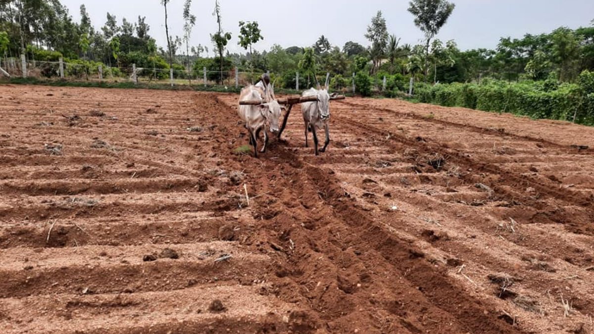 ರೈತರು ಫ್ರೂಟ್ಸ್ ತಂತ್ರಾಂಶದಲ್ಲಿ ಹೆಸರು ನೋಂದಾಯಿಸುವುದು ಅಗತ್ಯ | Necessary To ...