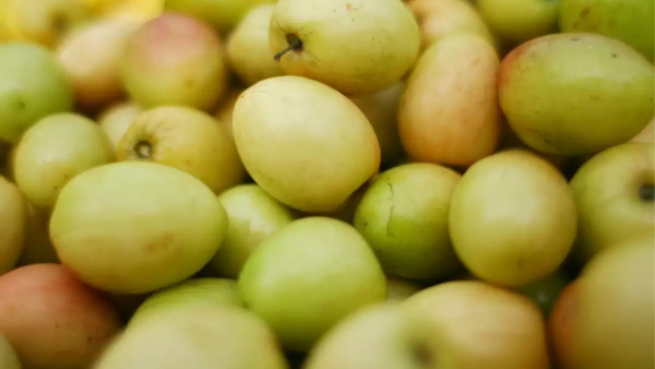 Indian jujube fruit Benefits: ಬಾರೆ.... ಬಾರೆ.... ನಿನ್ನಲ್ಲಿ ಅಡಗಿದೆ ...