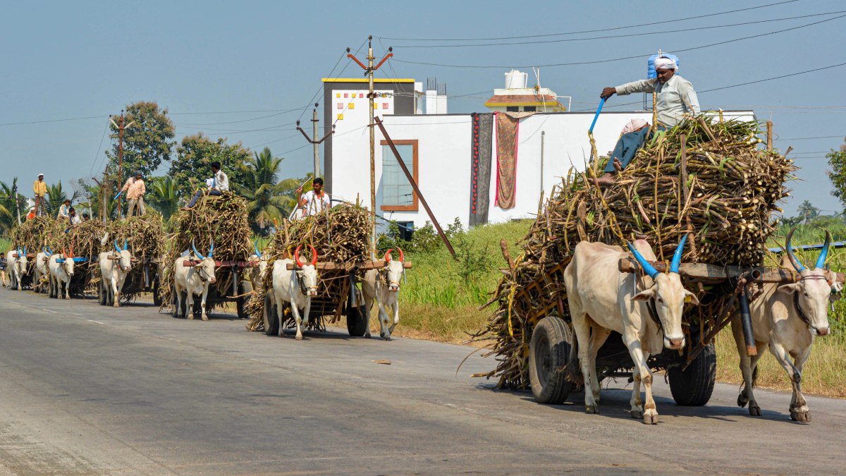 ಕಬ್ಬು ಕಟಾವು; 15 ದಿನದಲ್ಲಿ ರೈತರಿಗೆ ಬಿಲ್ ಪಾವತಿ | Sugar Cane Farmers Bill ...