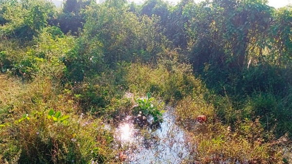 ಬರಗಾಲದಲ್ಲೂ ಜಲಾಶಯದ ನೀರು ಪೋಲು: ತಾರಕದಿಂದ ನೀರು ಹರಿದರೂ ರೈತರಿಗೆ ತಲುಪುತ್ತಿಲ್ಲ ...