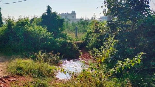 ಬರಗಾಲದಲ್ಲೂ ಜಲಾಶಯದ ನೀರು ಪೋಲು: ತಾರಕದಿಂದ ನೀರು ಹರಿದರೂ ರೈತರಿಗೆ ತಲುಪುತ್ತಿಲ್ಲ ...