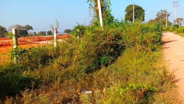 ಬರಗಾಲದಲ್ಲೂ ಜಲಾಶಯದ ನೀರು ಪೋಲು: ತಾರಕದಿಂದ ನೀರು ಹರಿದರೂ ರೈತರಿಗೆ ತಲುಪುತ್ತಿಲ್ಲ ...