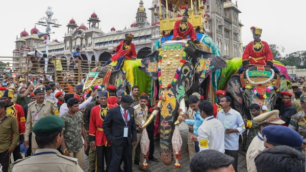 Dasara Elephant Death: ಅರ್ಜುನ, ದ್ರೋಣ, ಬಲರಾಮ ದಸರಾ ಆನೆಗಳ ದುರಂತ ಅಂತ್ಯ ...