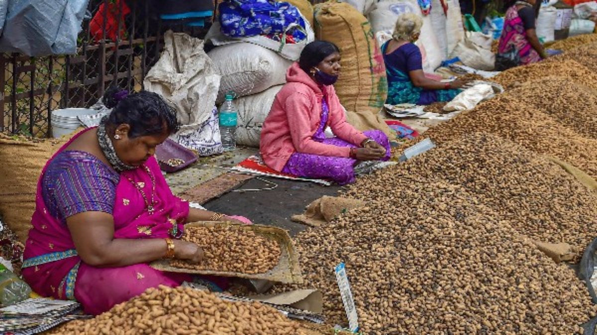 Kadlekai Parishe: ಕಡ್ಲೆಕಾಯಿ ಪರಿಷೆ ದಿನ ಬಸವನಗುಡಿ ಸುತ್ತಮುತ್ತ ಸಂಚಾರ ನಿಷೇಧ ...