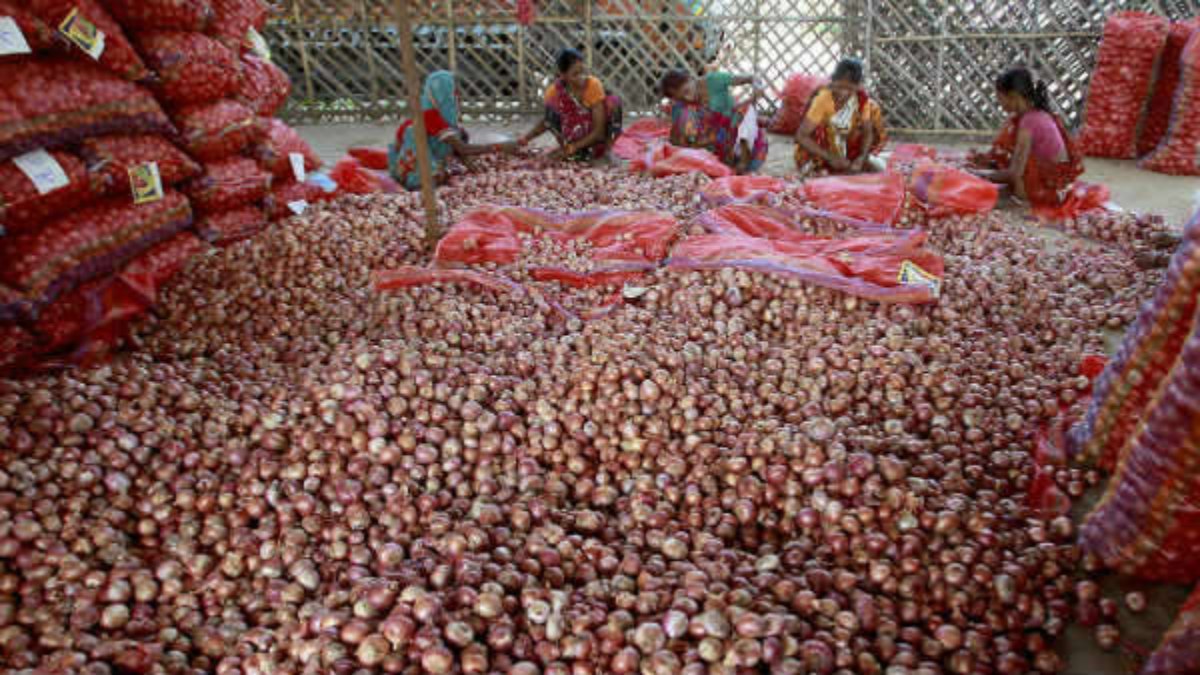 ಹೊರ ದೇಶಕ್ಕೆ ಈರುಳ್ಳಿ ರಫ್ತು ನಿಷೇಧಿಸಿದ ಕೇಂದ್ರ ಸರ್ಕಾರ, ಕಾರಣವೇನು? | The central government has banned ...