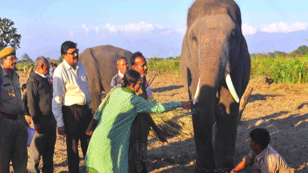 ಪದ್ಮಶ್ರೀ ಪ್ರಶಸ್ತಿಗೆ ಭಾಜನರಾದ ಭಾರತದ ಮೊದಲ ಮಹಿಳಾ ಆನೆ ಮಾವುತ | First Female ...