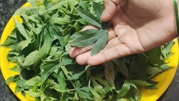 Pundi Palya Chutney Recipe: ರಾತ್ರಿ ಊಟಕ್ಕೆ ಏನ್ ಮಾಡ್ತೀರಿ? ಜೋಳದ ರೊಟ್ಟಿ ...