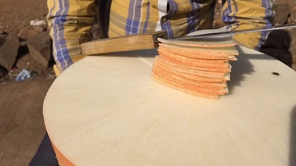 Ram Kand Mool Benefits: ಶ್ರೀರಾಮ 14 ವರ್ಷ ವನವಾಸದಲ್ಲಿದ್ದಾಗ ತಿನ್ನುತ್ತಿದ್ದ ...