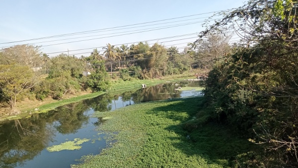 ಕರ್ನಾಟಕದ ಕೌತುಕ ಸ್ಥಳ: ಬೇಸಿಗೆಯಲ್ಲಿ ಹಸಿರಾಗುವ ಈ ನದಿ ಯಾವುದು ಗೊತ್ತಾ..? | Why ...