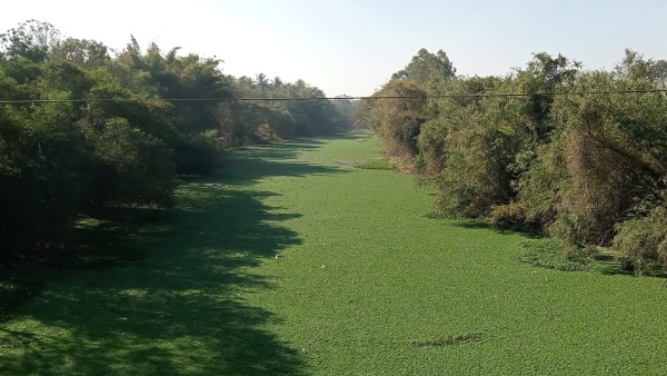 ಕರ್ನಾಟಕದ ಕೌತುಕ ಸ್ಥಳ: ಬೇಸಿಗೆಯಲ್ಲಿ ಹಸಿರಾಗುವ ಈ ನದಿ ಯಾವುದು ಗೊತ್ತಾ..? | Why ...