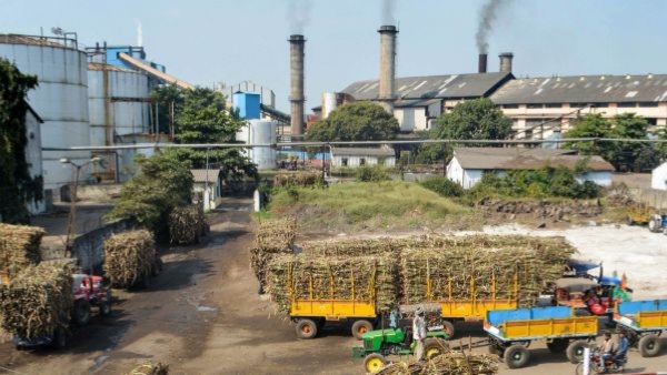 MySugar Factory: ಹೊಸ ಸಕ್ಕರೆ ಕಾರ್ಖಾನೆ- ಟೆಕ್ಸ್‌ಟೈಲ್ ಪಾರ್ಕ್ ನಿರ್ಮಾಣ: ಎಲ್ಲಿ ...