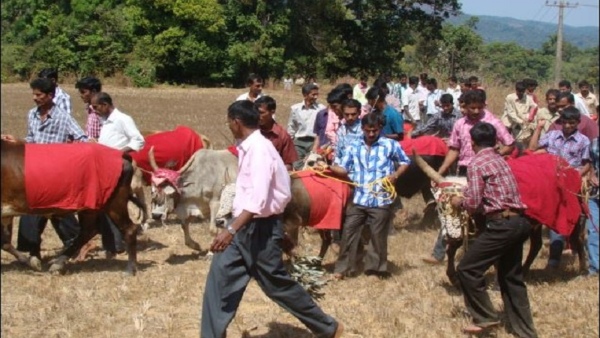 ಕೊಡಗಿನಲ್ಲಿ ನಡೆಯುವ ಕೊಳಲು ಹಬ್ಬದ ವಿಶೇಷತೆ ಏನು ಗೊತ್ತಾ..? | Kolalu Festival ...