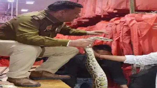 python in clothes shop: ಬಟ್ಟೆ ಖರೀದಿಗೆ ಬಂದ ದೈತ್ಯ ಹೆಬ್ಬಾವು: ದಿಕ್ಕಾಪಾಲಾಗಿ ...