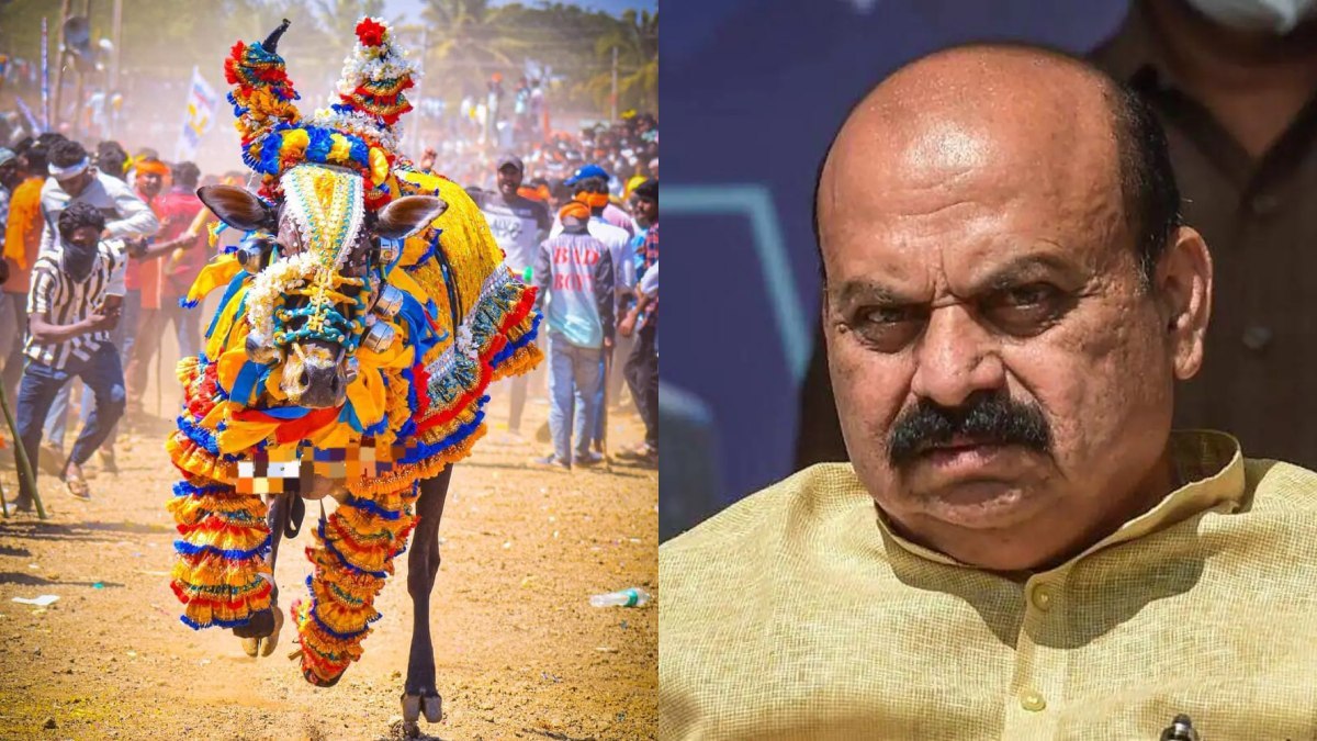 Haveri Rock Star Bull: ಲಕ್ಷಾಂತರ ಅಭಿಮಾನಿ ಗಳಿಸಿದ್ದ 'ಹಾವೇರಿ ರಾಕ್ ಸ್ಟಾರ್ ...