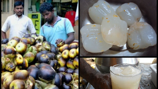 Health Benefits of Ice Apple: ಕೈಯಲ್ಲಿ ಜಾರುವ, ಬಾಯಲ್ಲಿ ಕರಗುವ ತಾಳೆ ಹಣ್ಣು ...