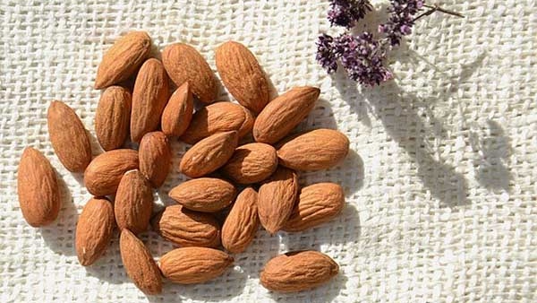 Badam Milk Powder Recipe: ಹೀಗೆ ಸುಲಭ ಮತ್ತು ಆರೋಗ್ಯಕರ ಬಾದಾಮ್ ಮಿಲ್ಕ್ ಪೌಡರ್ ...