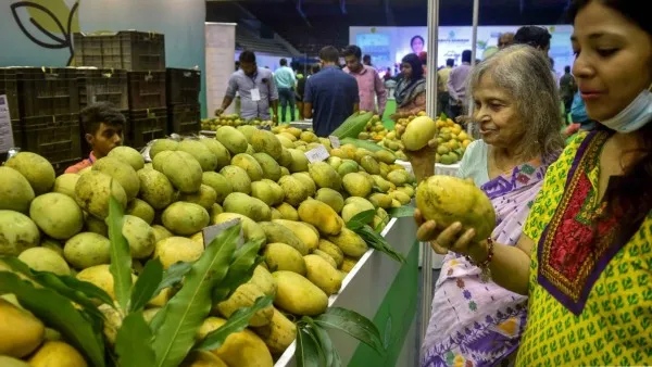 Lalbagh Mango Mela: ಲಾಲ್‌ಬಾಗ್‌ನಲ್ಲಿ ಮಾವು-ಹಲಸು ಮೇಳ ಆರಂಭ: ಬಾಯಲ್ಲಿ ...