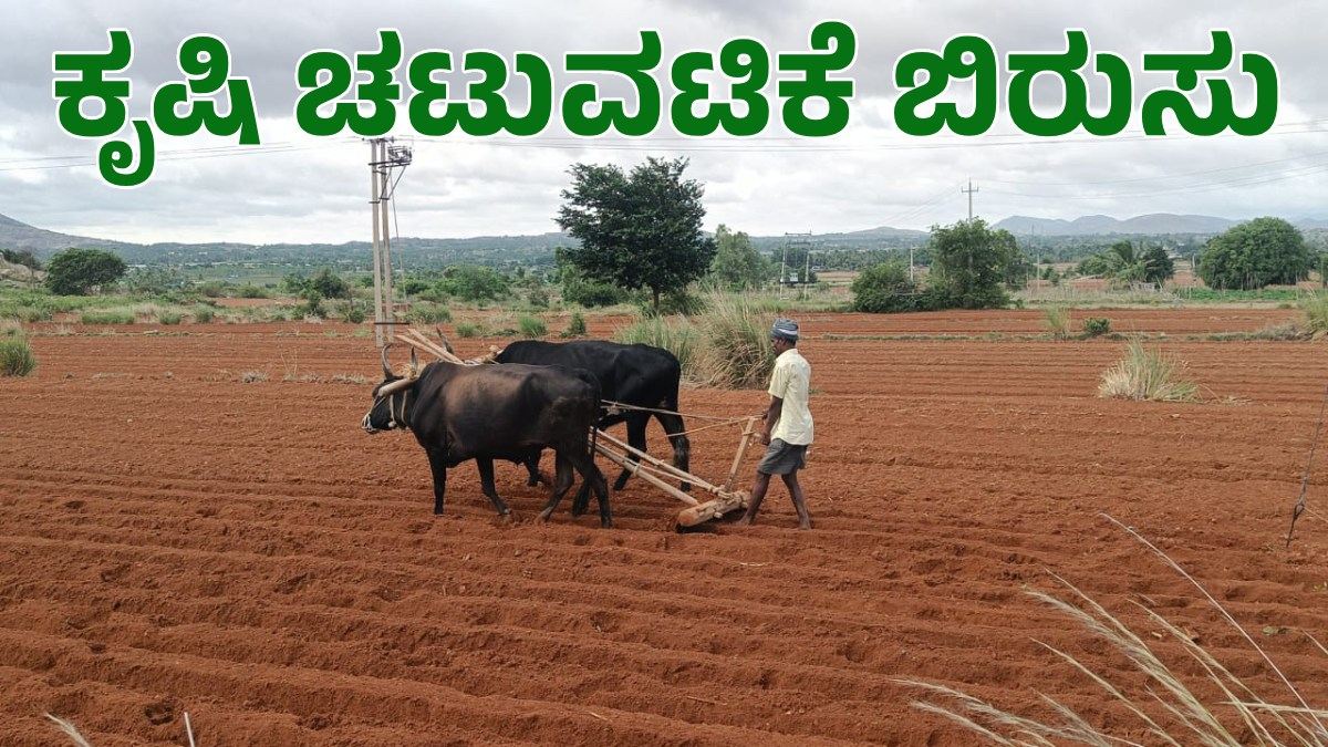 Pre Monsoon Rain: ಪೂರ್ವ ಮುಂಗಾರು ಆರಂಭ; ಕೃಷಿ ಚಟುವಟಿಕೆ ಬಿರುಸು | Mysuru ...