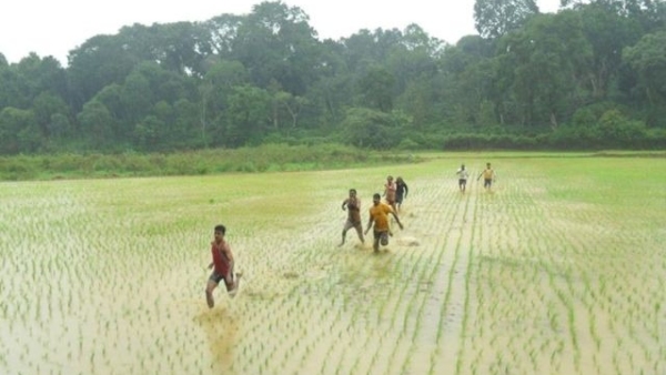 ಕೊಡಗಿನಲ್ಲಿ ಮರೆಯಾದ ಭತ್ತದ ಕೃಷಿ ಸಂಭ್ರಮ: ಏಕೆ ಹೀಗಾಯ್ತು? | Despite The Pre ...
