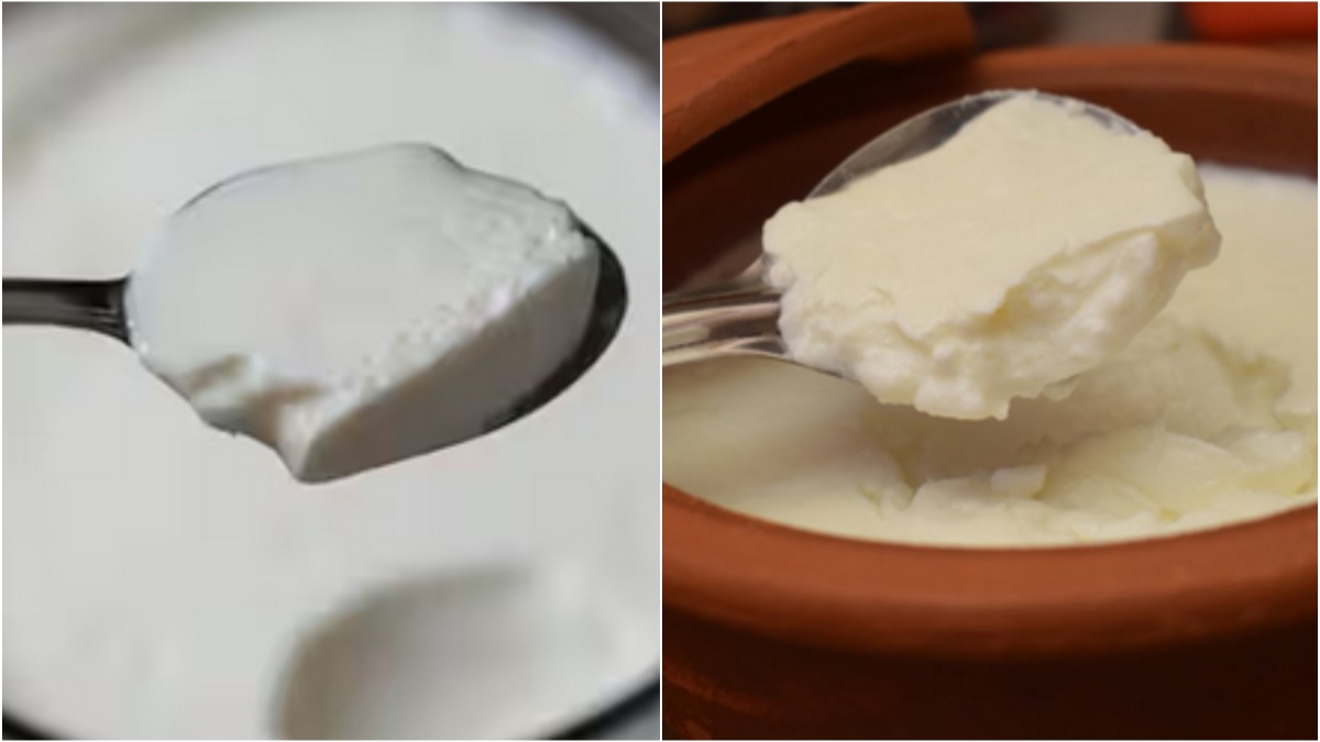 ಮನೆಯಲ್ಲೇ ಗಟ್ಟಿ ಮೊಸರು ತಯಾರಿಸುವುದು ಹೇಗೆ..? ಇಲ್ಲಿದೆ ಸಿಂಪಲ್‌ ಟಿಪ್ಸ್‌ | How ...