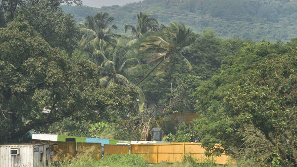 Deemed forest: ರೈತರಿಗೆ ಸಂಕಷ್ಟ ತಂದೊಡ್ಡಿದ ಡೀಮ್ಡ್ ಫಾರೆಸ್ಟ್- ಬರೋಬ್ಬರಿ 50 ...