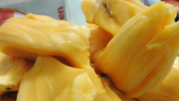 Jackfruit Panaka: ನಾಲಿಗೆಗೆ ರುಚಿ-ದೇಹಕ್ಕೆ ತಂಪು ಈ ಹಲಸಿನ ಪಾನಕ: ಇಲ್ಲಿದೆ ...