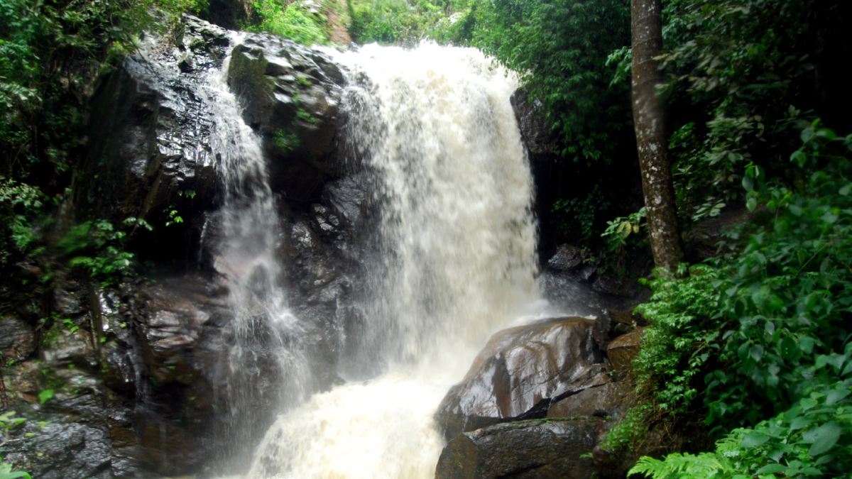 Haleri Waterfalls: ಮುಂಗಾರು ಮಳೆಗೆ ಮೈದುಂಬಿದ 'ಹಾಲೇರಿ ಜಲಧಾರೆ’ | Kodagu ...