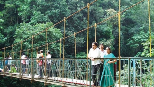 ತುಕ್ಕು ಹಿಡಿಯುತ್ತಿರುವ ಅಬ್ಬಿ ಜಲಪಾತದ ತೂಗುಸೇತುವೆ: ಪ್ರವಾಸಿಗರೇ ಎಚ್ಚರ ...