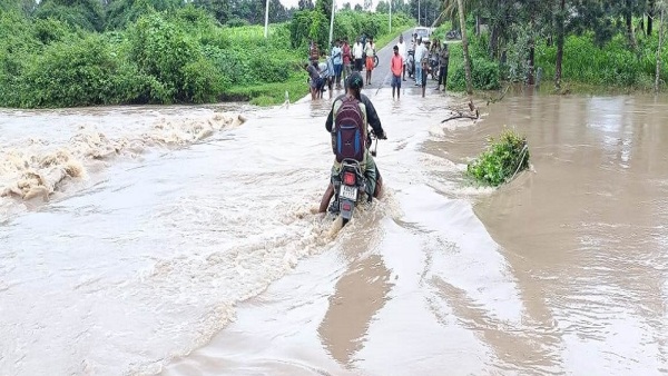 Mysuru Flood: ಲಕ್ಷ್ಮಣತೀರ್ಥ ನದಿ ಪ್ರವಾಹಕ್ಕೆ ಬೆಳೆನಾಶ: ಸಂಕಷ್ಟದಲ್ಲಿ ರೈತರು ...