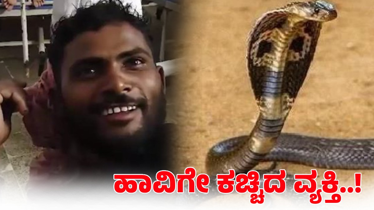 Snake Bite: ತನ್ನನ್ನು ಕಚ್ಚಿದ ಹಾವಿಗೆ ತಿರುಗಿ ಎರಡು ಬಾರಿ ಕಚ್ಚಿದ ವ್ಯಕ್ತಿ ...
