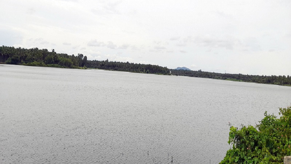 ಶಿಥಿಲಾವಸ್ಥೆಯಲ್ಲಿ ಬಳ್ಳೇಕೆರೆ ಈಶ್ವರ ದೇಗುಲ: ಈ ಸ್ಥಳದ ವಿಶೇಷತೆ & ಮಹತ್ವ ...