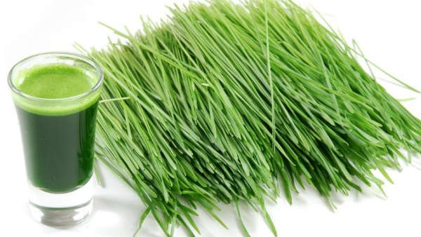 Durva Grass Juice Benefits: ಈ ಜ್ಯೂಸ್‌ನಲ್ಲಿದೆ ರಕ್ತದ ಕ್ಯಾನ್ಸರ್ ಗುಣಪಡಿಸುವ ...