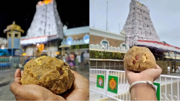 Tirupati Laddu: ಪ್ರಾಣಿಗಳ ಕೊಬ್ಬಿನಿಂದ ತಿರುಪತಿ ಲಡ್ಡು ತಯಾರಿಕೆ- ಸಿಎಂ ಚಂದ್ರಬಾಬು ಸೆನ್ಸೇಷನಲ್ ಕಾಮೆಂಟ್ ...
