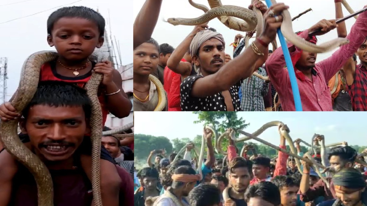 Snake Fair: ಜನರ ಕತ್ತಿನಲ್ಲಿ, ಕೈಯಲ್ಲಿ, ಬಾಯಲ್ಲಿ ಭುಸುಗುಡುವ ನಾಗ, ಈ ...