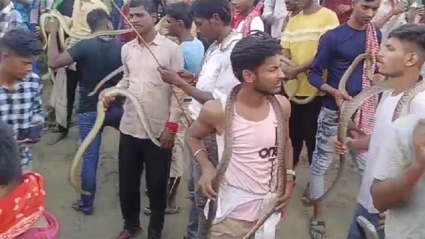 Snake Fair: ಜನರ ಕತ್ತಿನಲ್ಲಿ, ಕೈಯಲ್ಲಿ, ಬಾಯಲ್ಲಿ ಭುಸುಗುಡುವ ನಾಗ, ಈ ...
