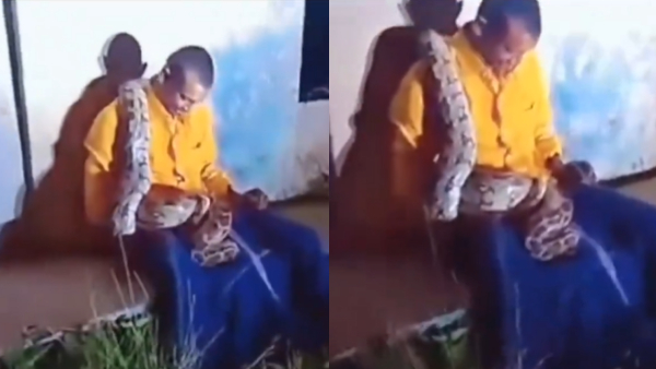 Video Viral: ಮೈಮೇಲೆ ಹೆಬ್ಬಾವು ಹರಿದಾಡಿದರೂ ಅಲುಗಾಡದ ಲಾರಿ ಚಾಲಕ | Video Viral ...