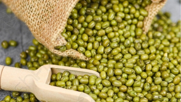 Moong Dal: ರೈತರಿಗೆ ಖುಷಿ ಸುದ್ದಿ: ಹೆಚ್ಚುವರಿ 'ಹೆಸರು' ಖರೀದಿಗೆ ಆದೇಶ ...