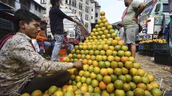 Orange: ನೇಪಥ್ಯಕ್ಕೆ ಸರಿದ ಕೊಡಗಿನ ಕಿತ್ತಳೆ: ಮರುಕಳಿಸುತ್ತಾ ವೈಭವ? | Challenges ...