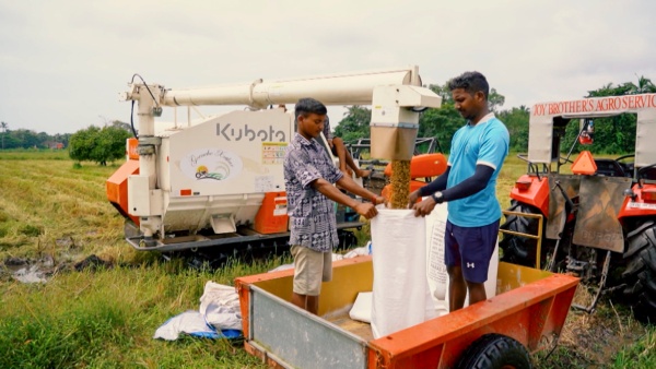 MSP For Paddy: ದಾವಣಗೆರೆಯಲ್ಲಿ ಭತ್ತ, ರಾಗಿ ಬೆಳೆದ ರೈತರಿಗೆ ಸಿಹಿಸುದ್ದಿ ...