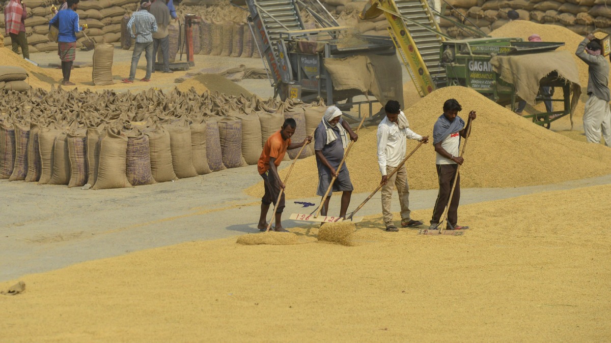 MSP For Paddy: ದಾವಣಗೆರೆಯಲ್ಲಿ ಭತ್ತ, ರಾಗಿ ಬೆಳೆದ ರೈತರಿಗೆ ಸಿಹಿಸುದ್ದಿ ...